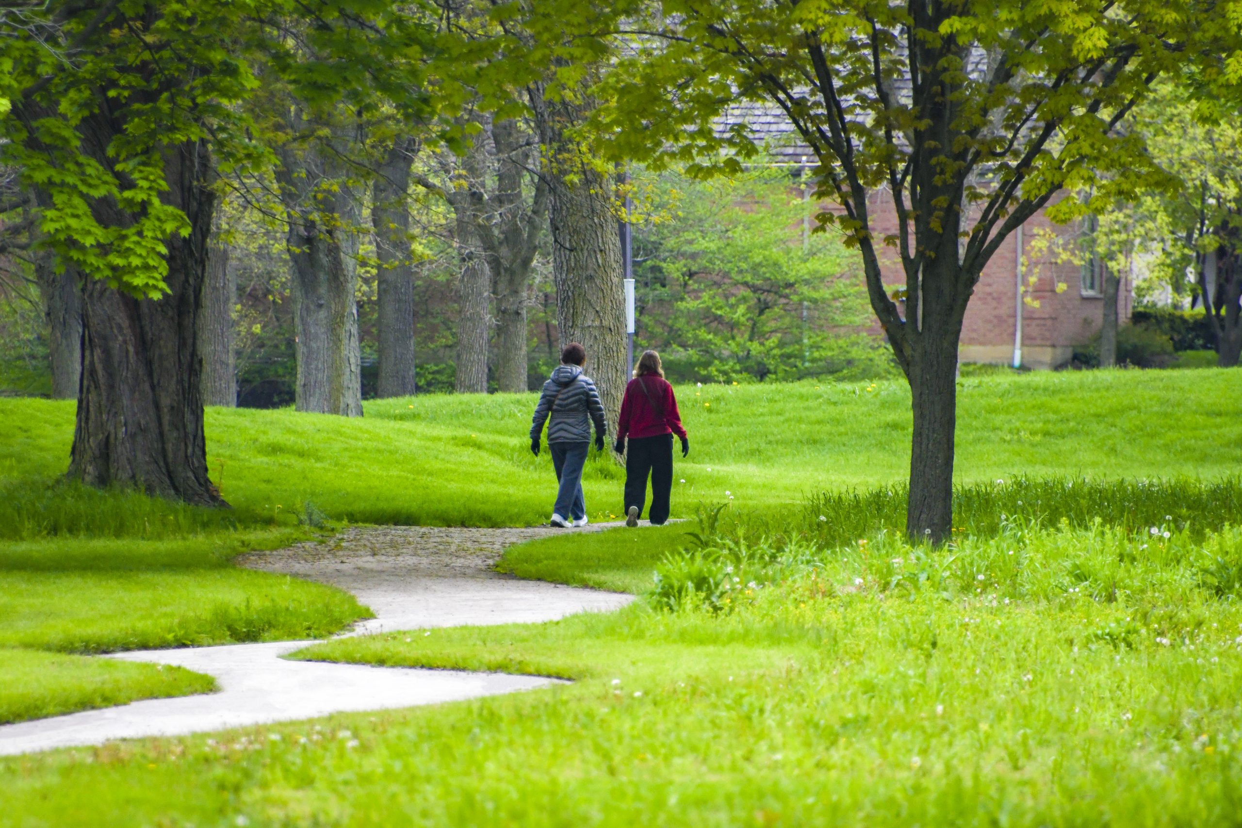 Community Park Shoreline Grant Approved | Park District of Highland Park